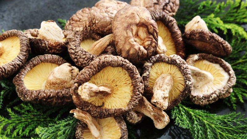 Shiitake - właściwości i przepisy